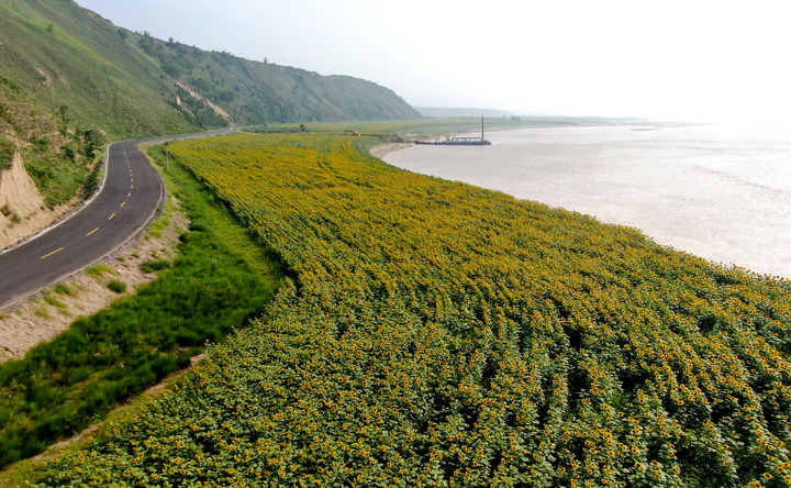 China to consolidate environmental protection of Yangtze River basin ...