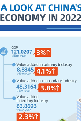 Infographic - The Belt and Road (BRI) Infographic news - Xinhua Silk Road