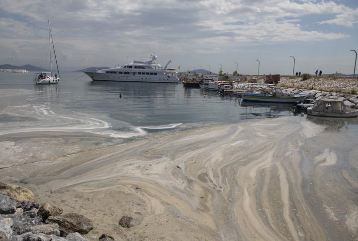 Chinese envoy urges curbing global warming to contain sea-level rise ...